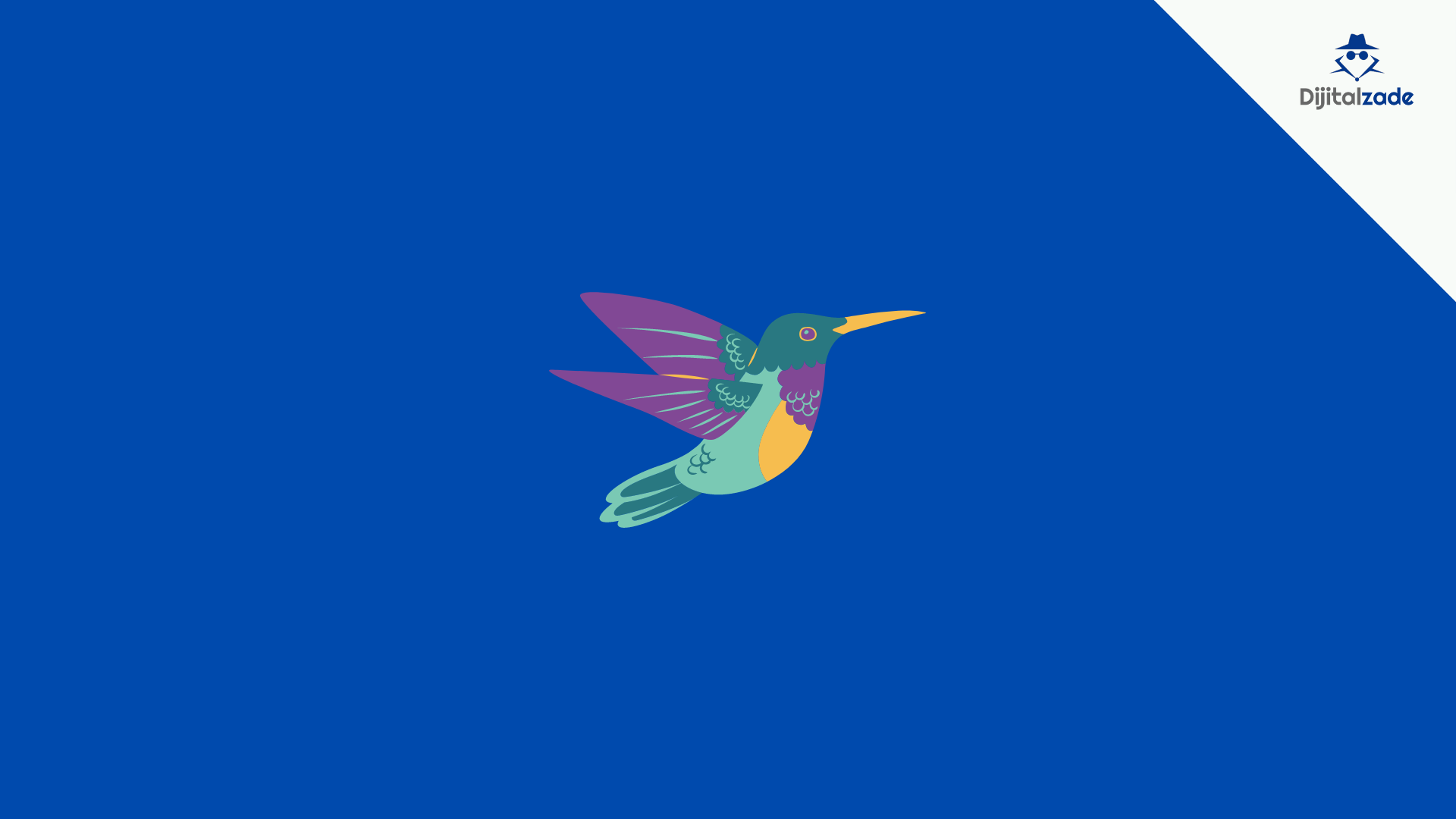 Google Hummingbird Algoritması Nedir? Neden Önemlidir? - Dijitalzade